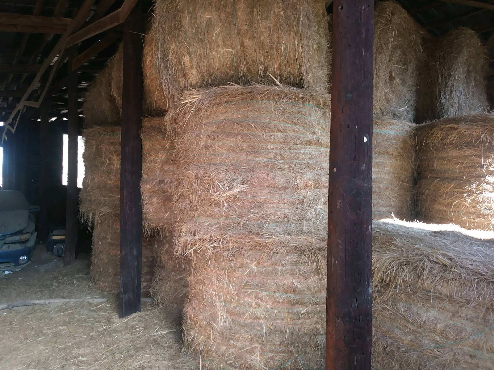 White House Farms: Bahia Grass Barn Hay!