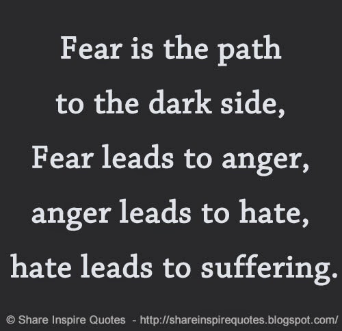 Fear is the path to the dark side, Fear leads to anger, anger leads to ...
