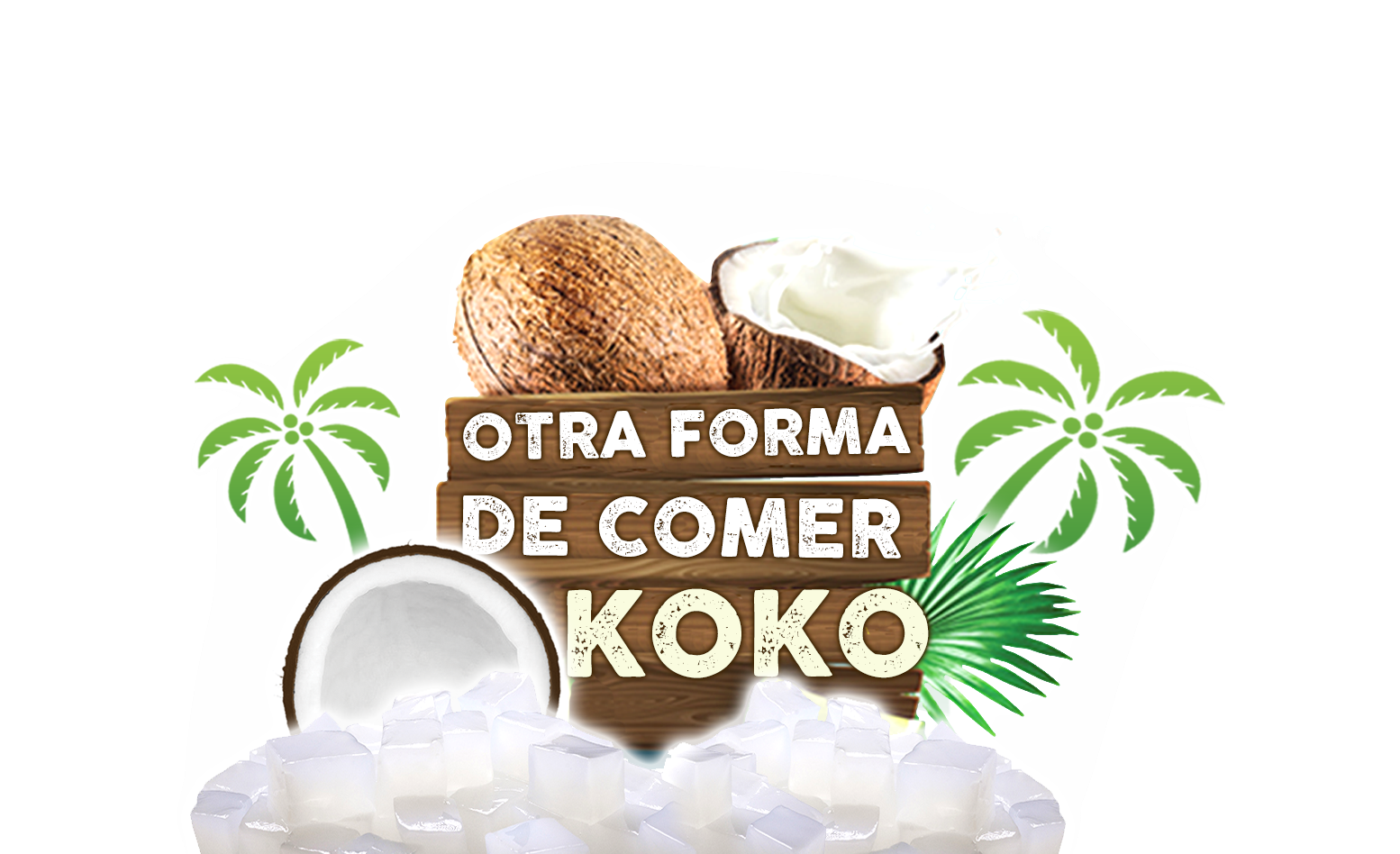 LA NATA DE COCO, Bio Koko: Cristales de Nata de coco, que son y cuales ...