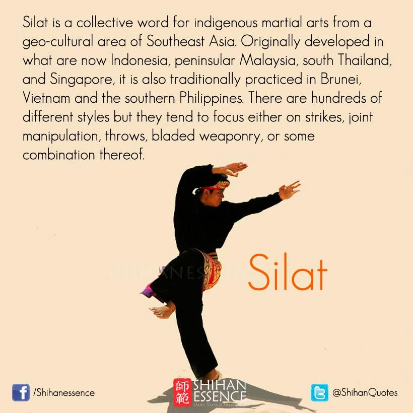 Bunga Cantik Pencak Silat- United States of America: AMAZING WOMEN OF ...