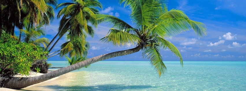 Beach Facebook Covers - Học tiếng nhật, java và mọi thứ