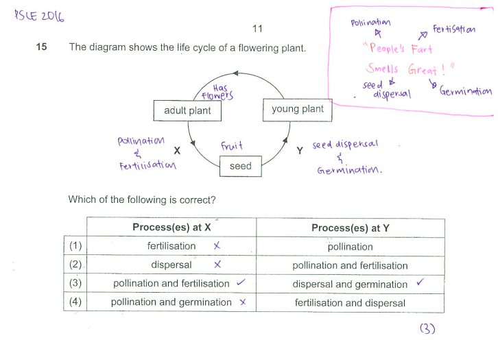 Answers to PSLE Questions