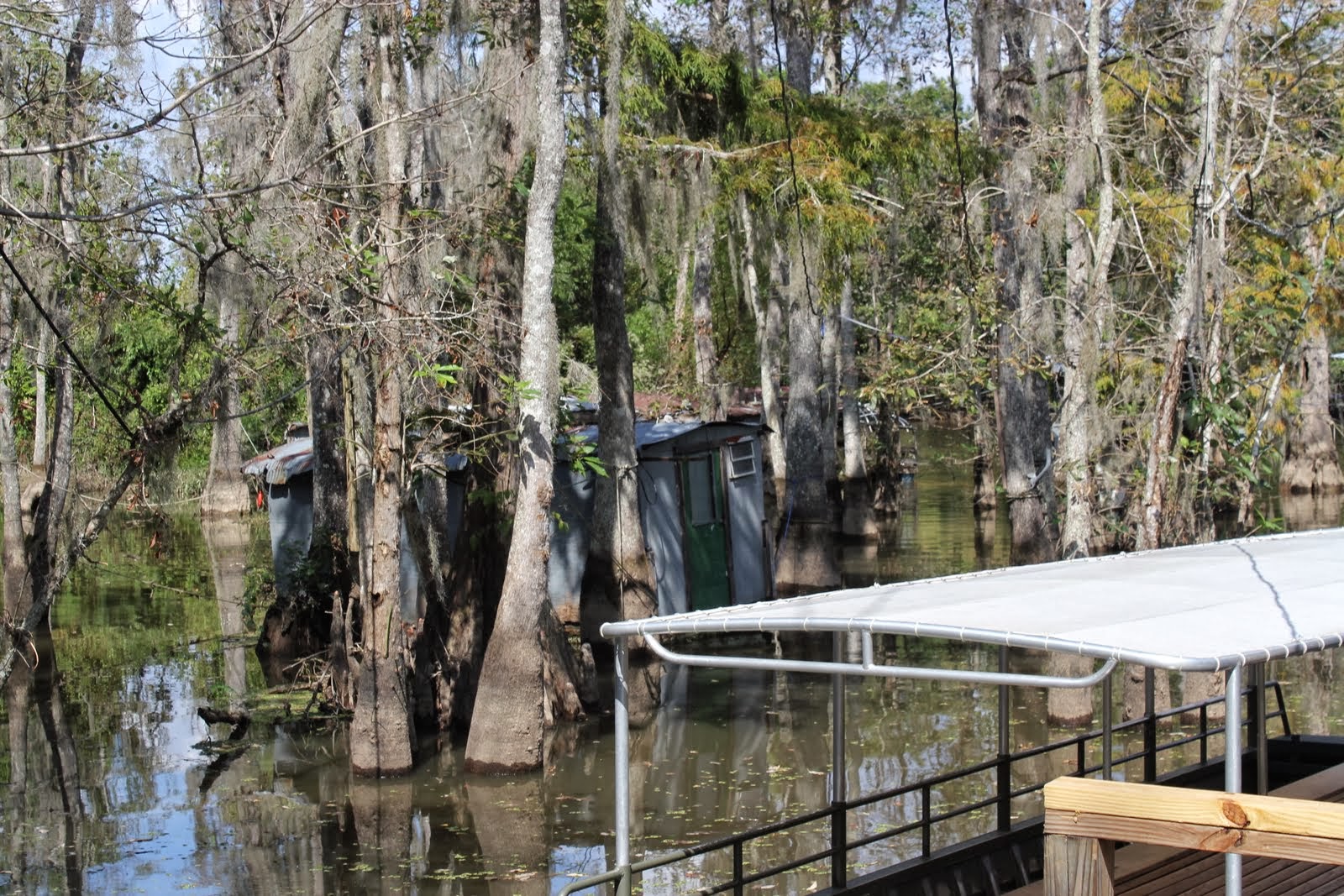 Here and There: LIFE ON THE BAYOU