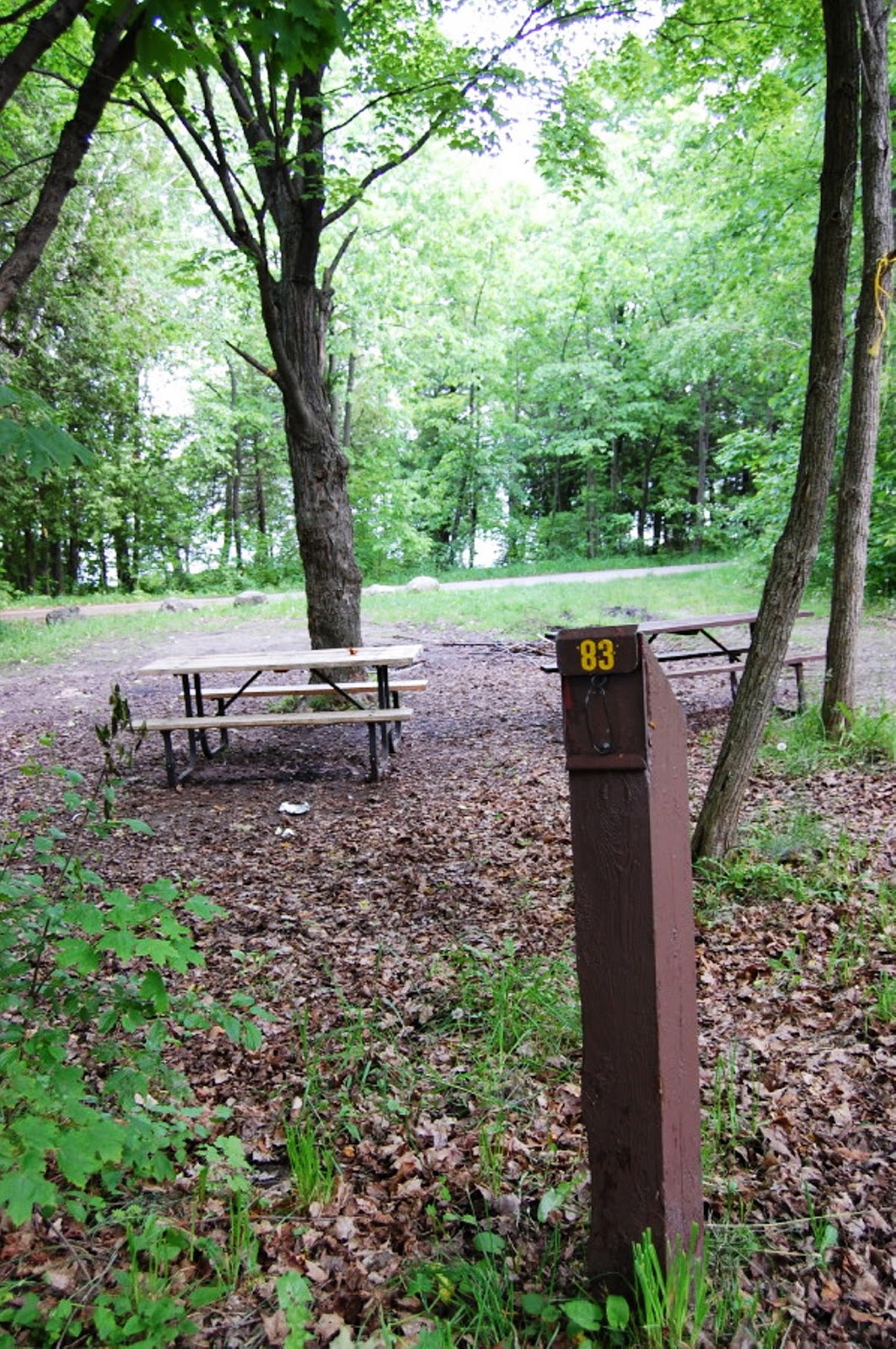 One Tank Trips: Camping options when Ontario Parks fill up quickly ...