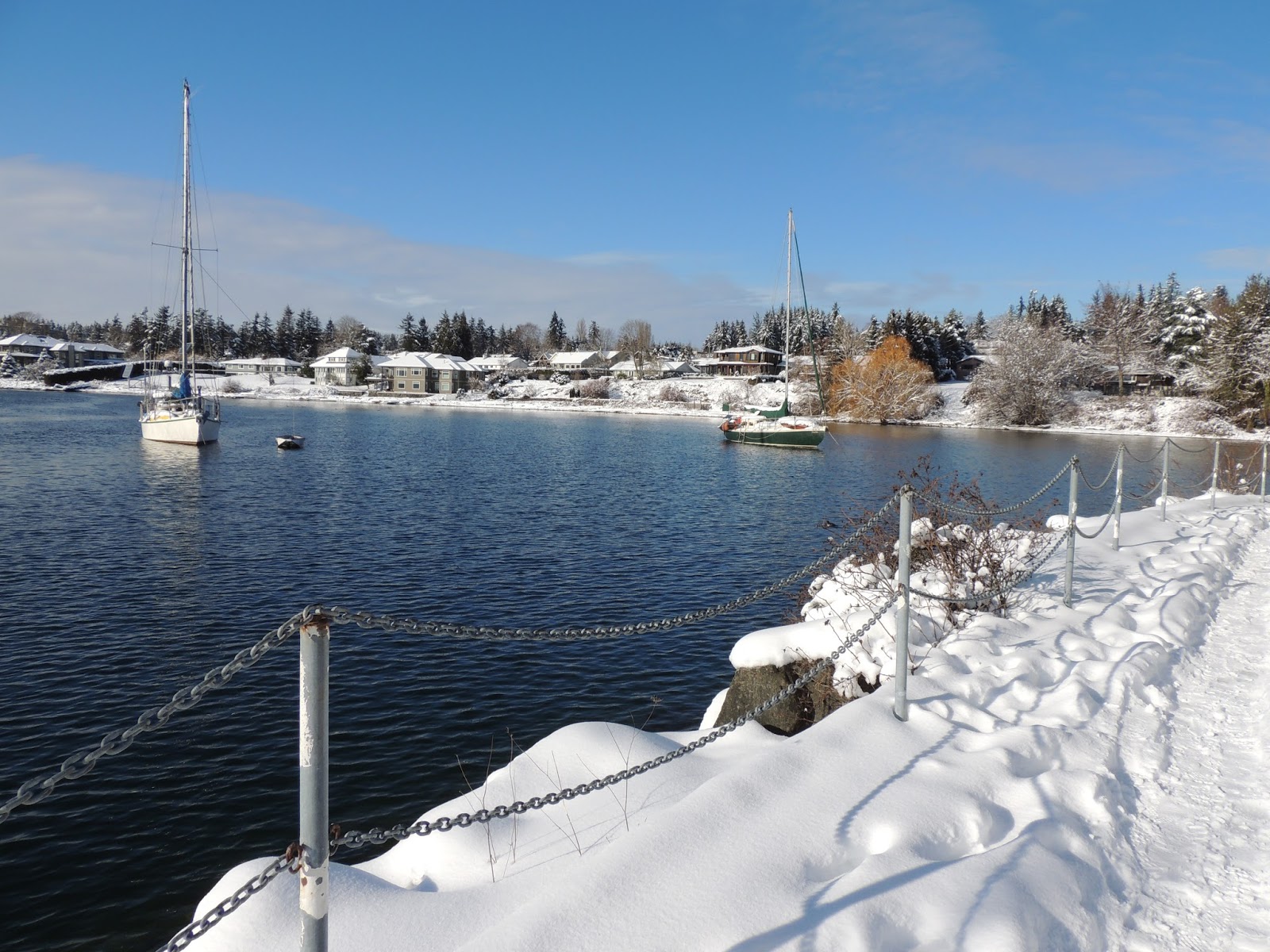 Travels Here and Abroad: Comox in Winter