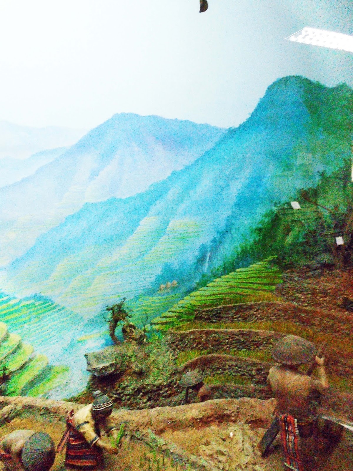 Living with Nature - School on Blog by Dr. Abercio V. Rotor: DIORAMAS ...