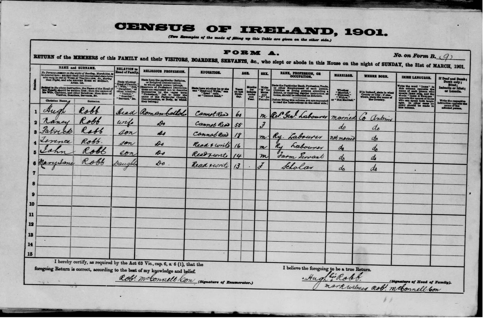 My Little family - Made in Ireland: Robb family ancestry