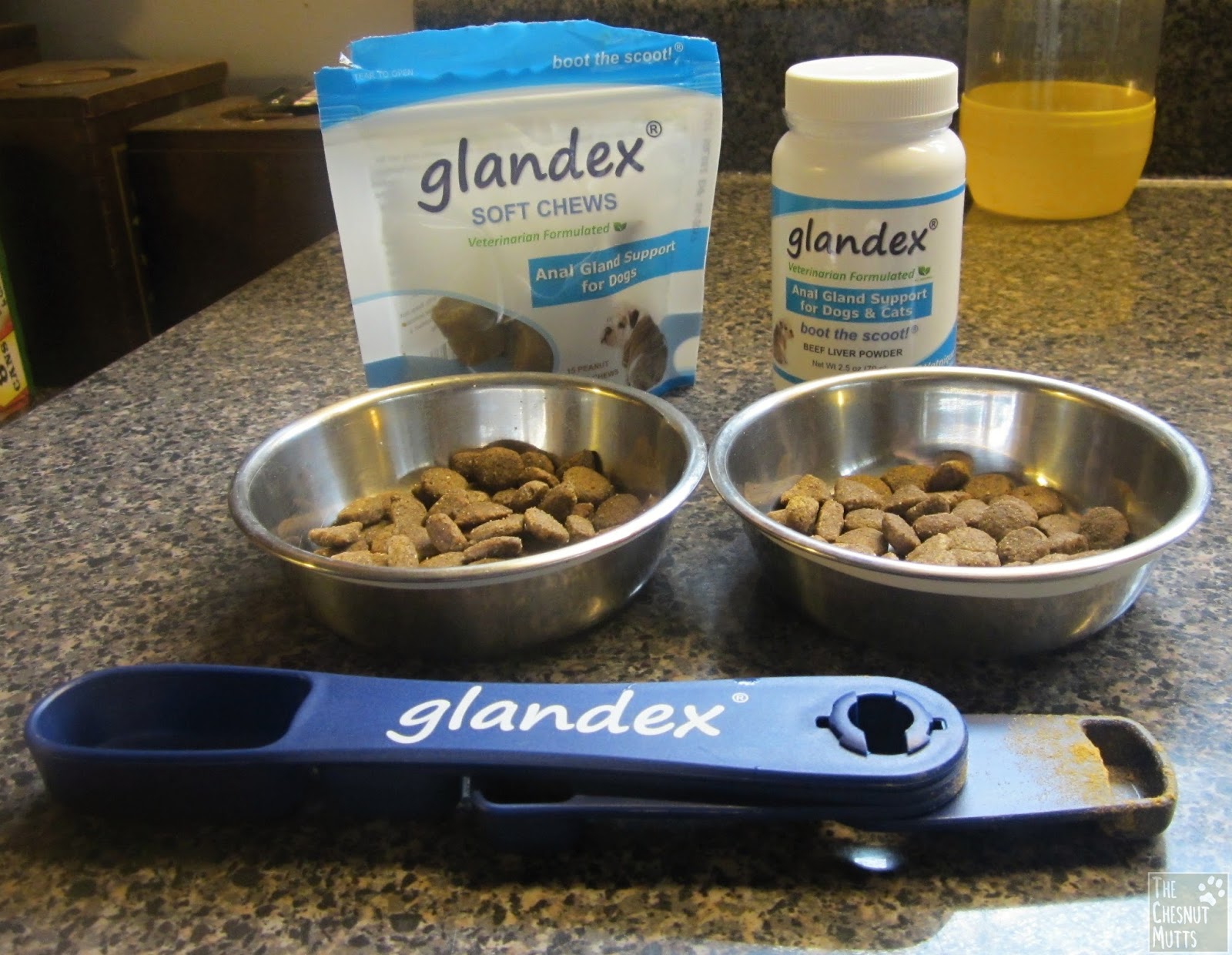 Review: #BootTheScoot with Glandex® | The Chesnut Mutts