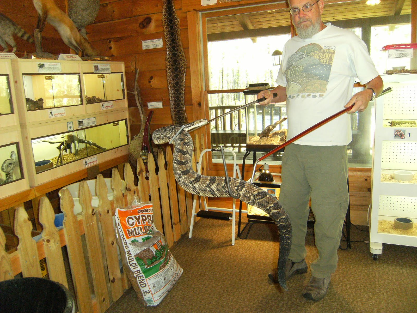 That's My Story and I'm Sticking To It: SNAKE HANDLING, OR HOW I SPENT ...