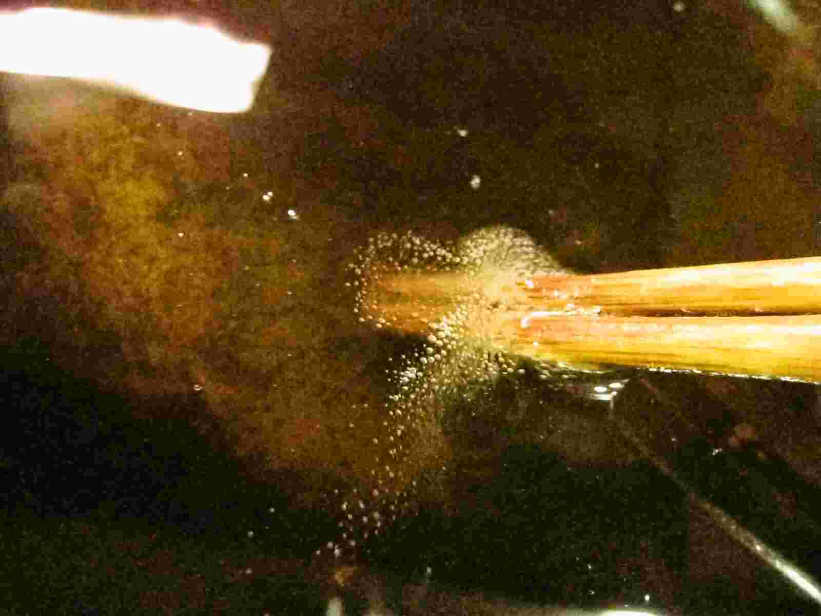 Recipes for Tom: Kaki furai / panko deep-fried oysters