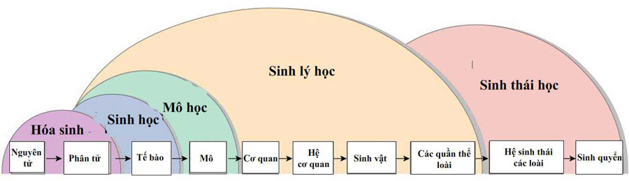 học Y: Chương 1 - nhập môn sinh lý học