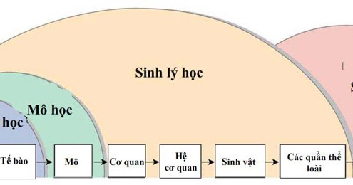 học Y: Chương 1 - nhập môn sinh lý học