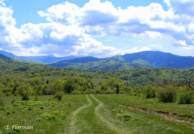 Blog de Calatorii si Drumetii Montane.: Drumetie pe dealurile de langa ...