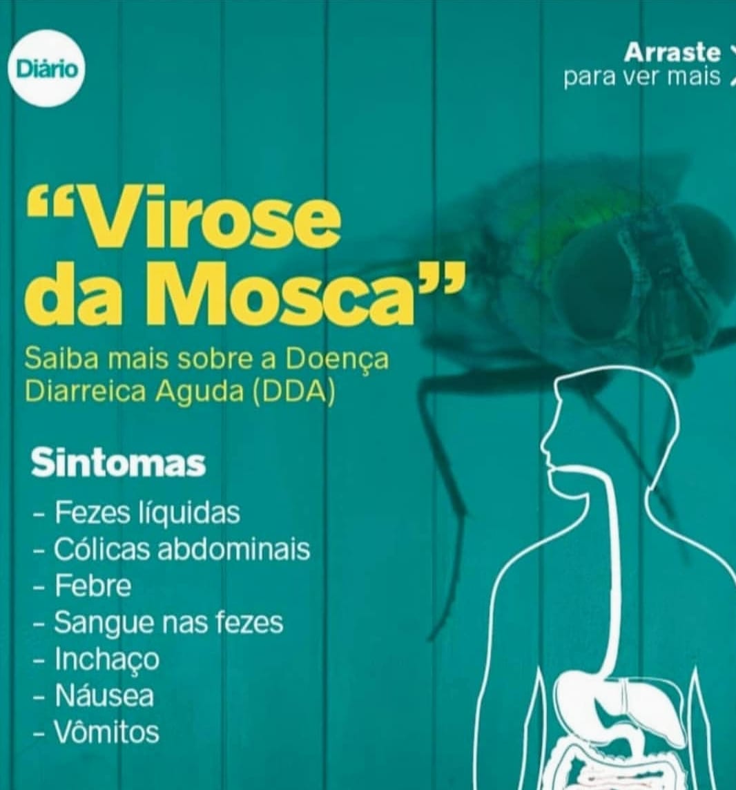 Virose da Mosca 11 mil cearenses já foram notificados com a doença só ...