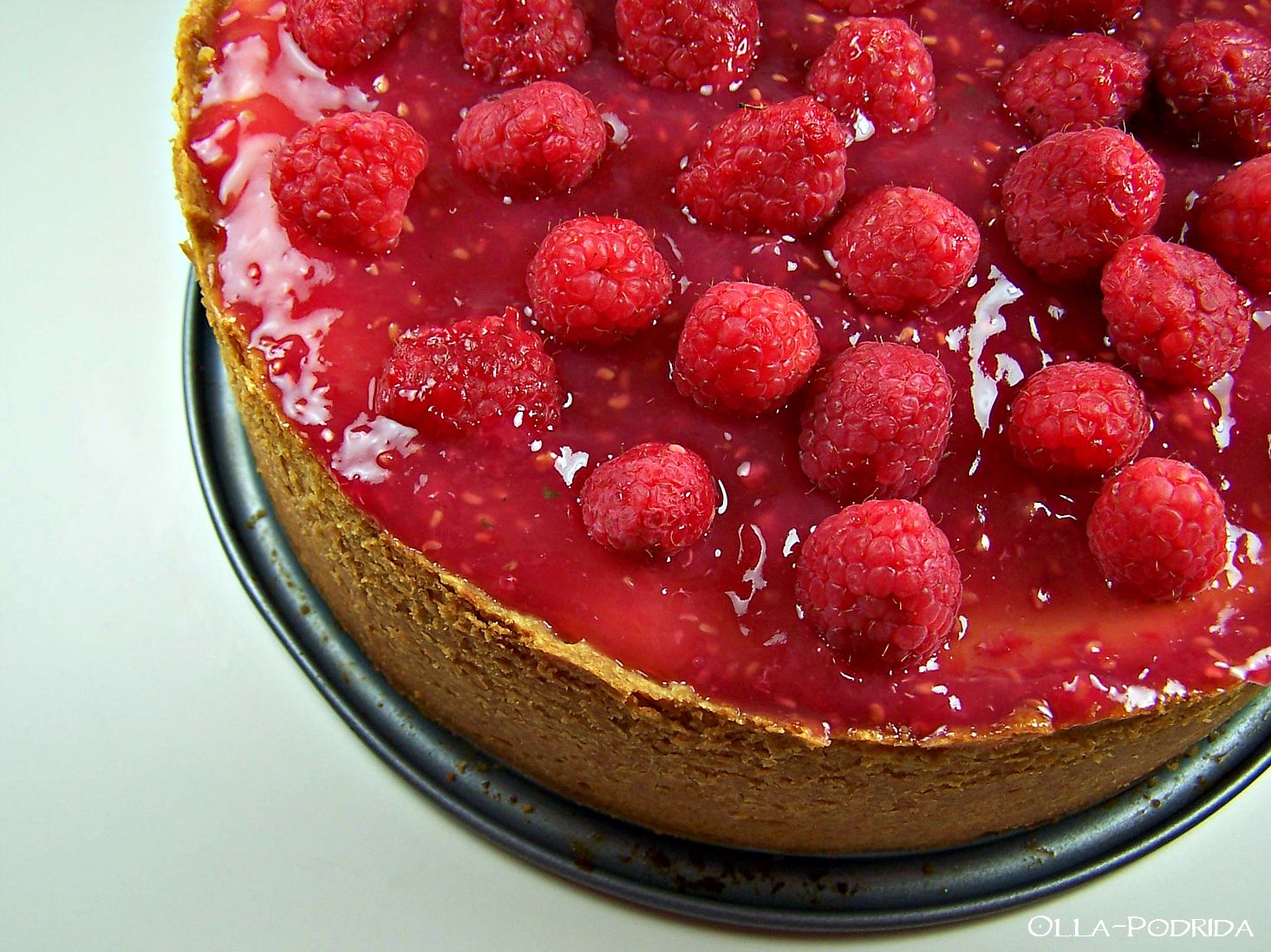 Olla-Podrida: The Battle of the Cheesecakes: Lemon Cheesecake with ...