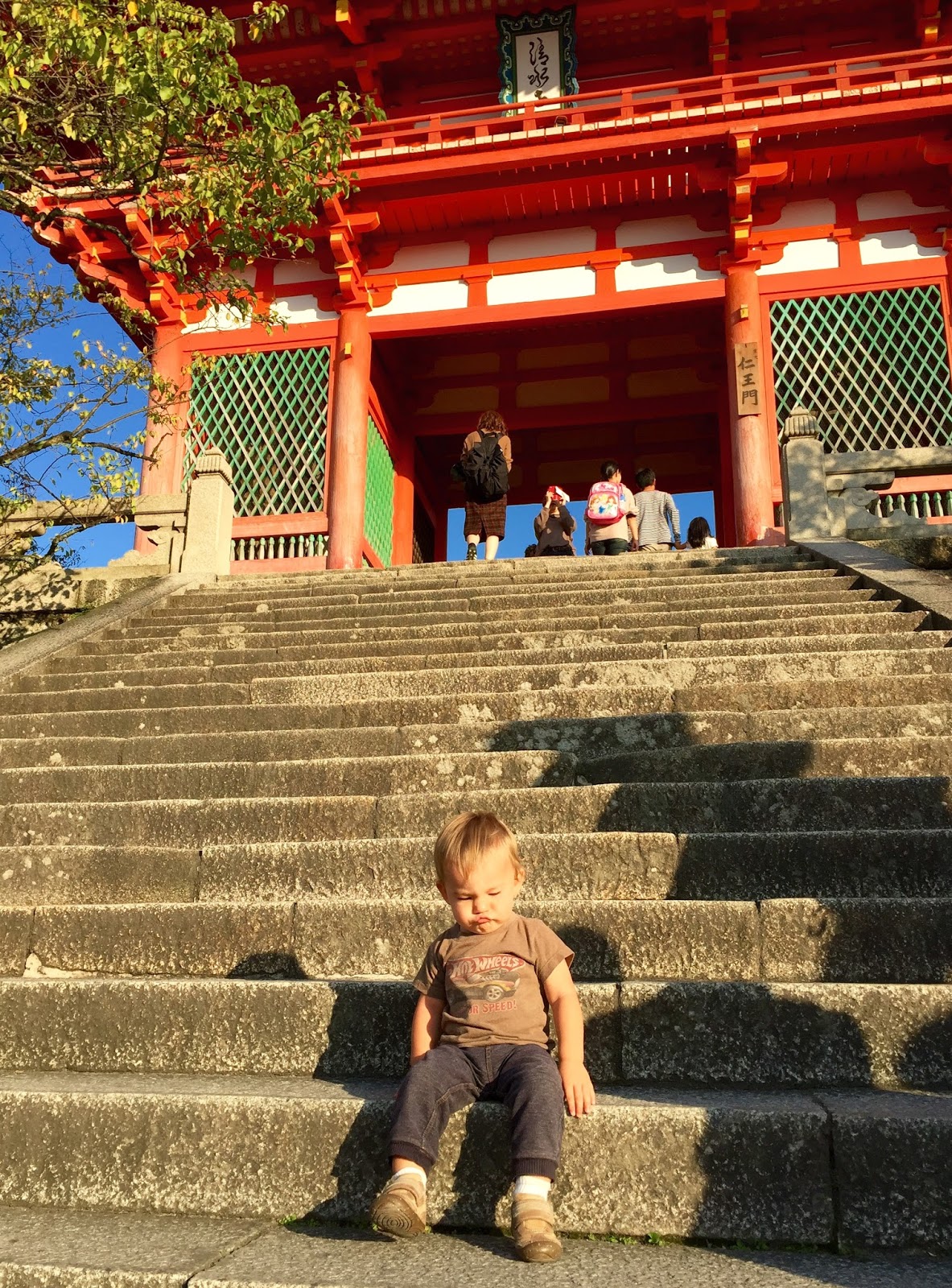 The Rogue and The Fury