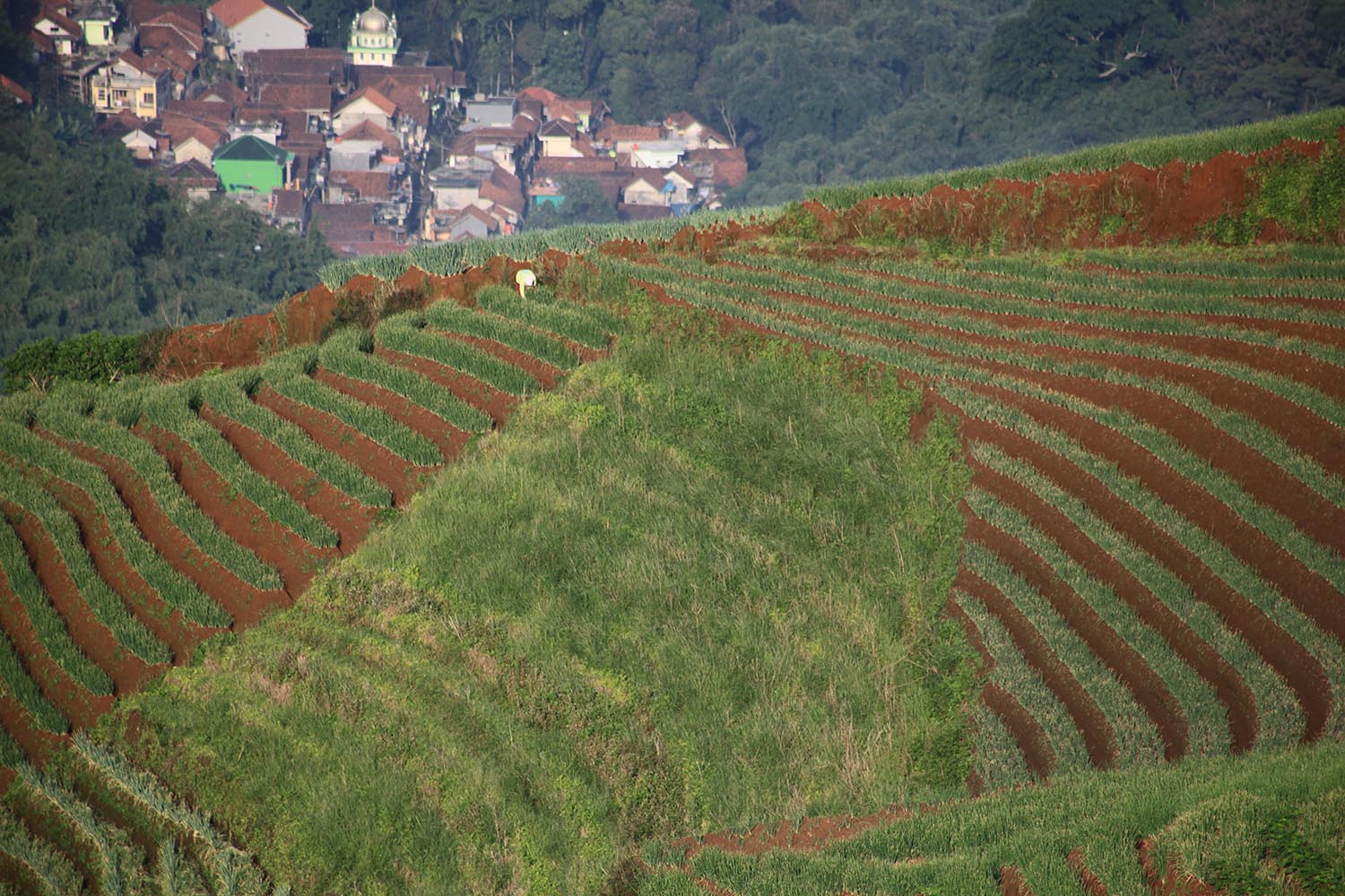 Uniknya Terasering Panyaweuyan Argapura, Majalengka Jawa Barat | Beyond ...