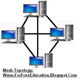 Computer Education Programs: Advantages and Disadvantages of Mesh Topology