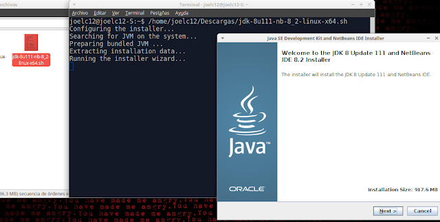 Informática De Zero: Intalación del JDK de oracle y netbeans en Xubuntu.