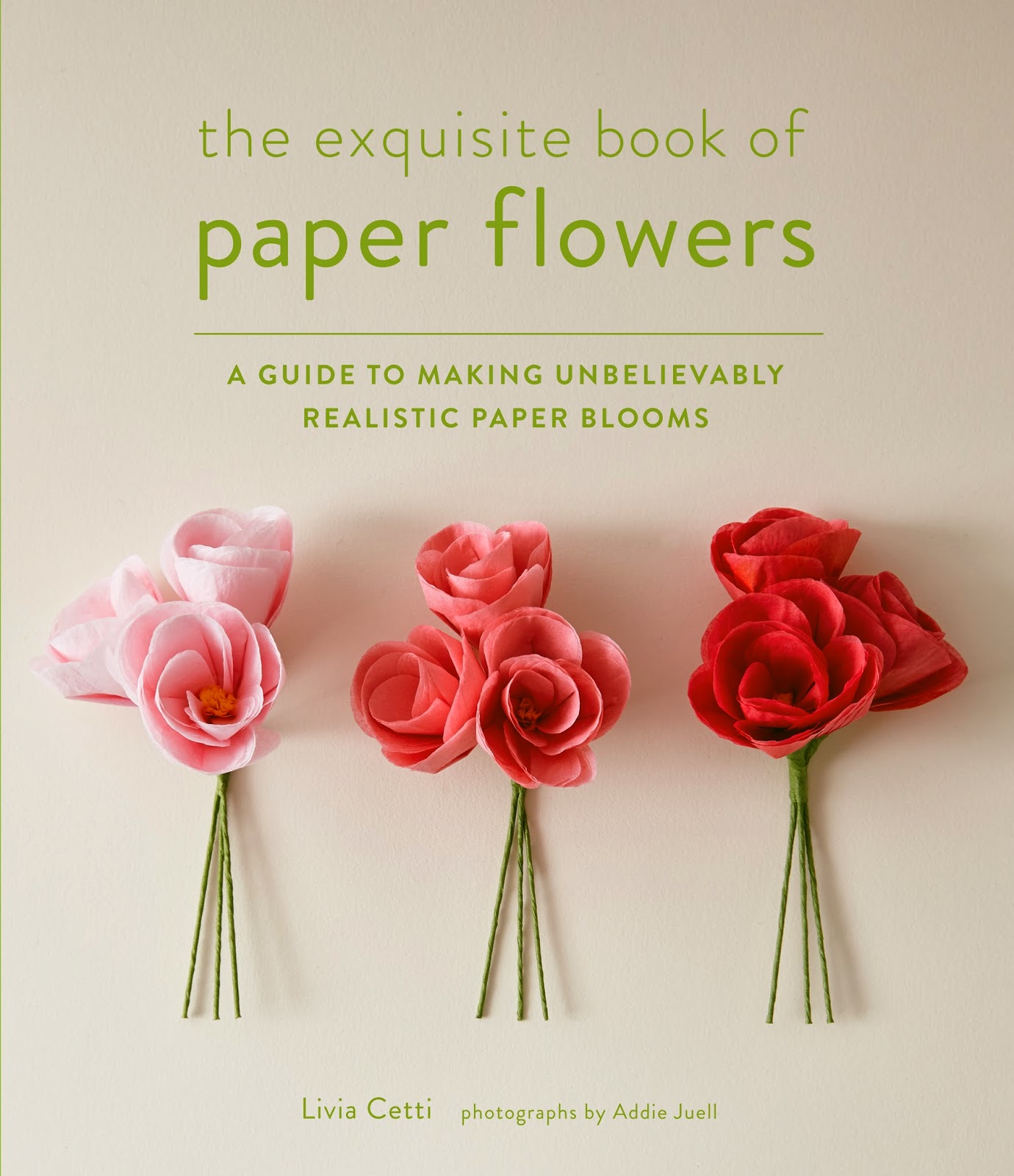 My Twig and Twine Nest: The Exquisite Book of Paper Flowers