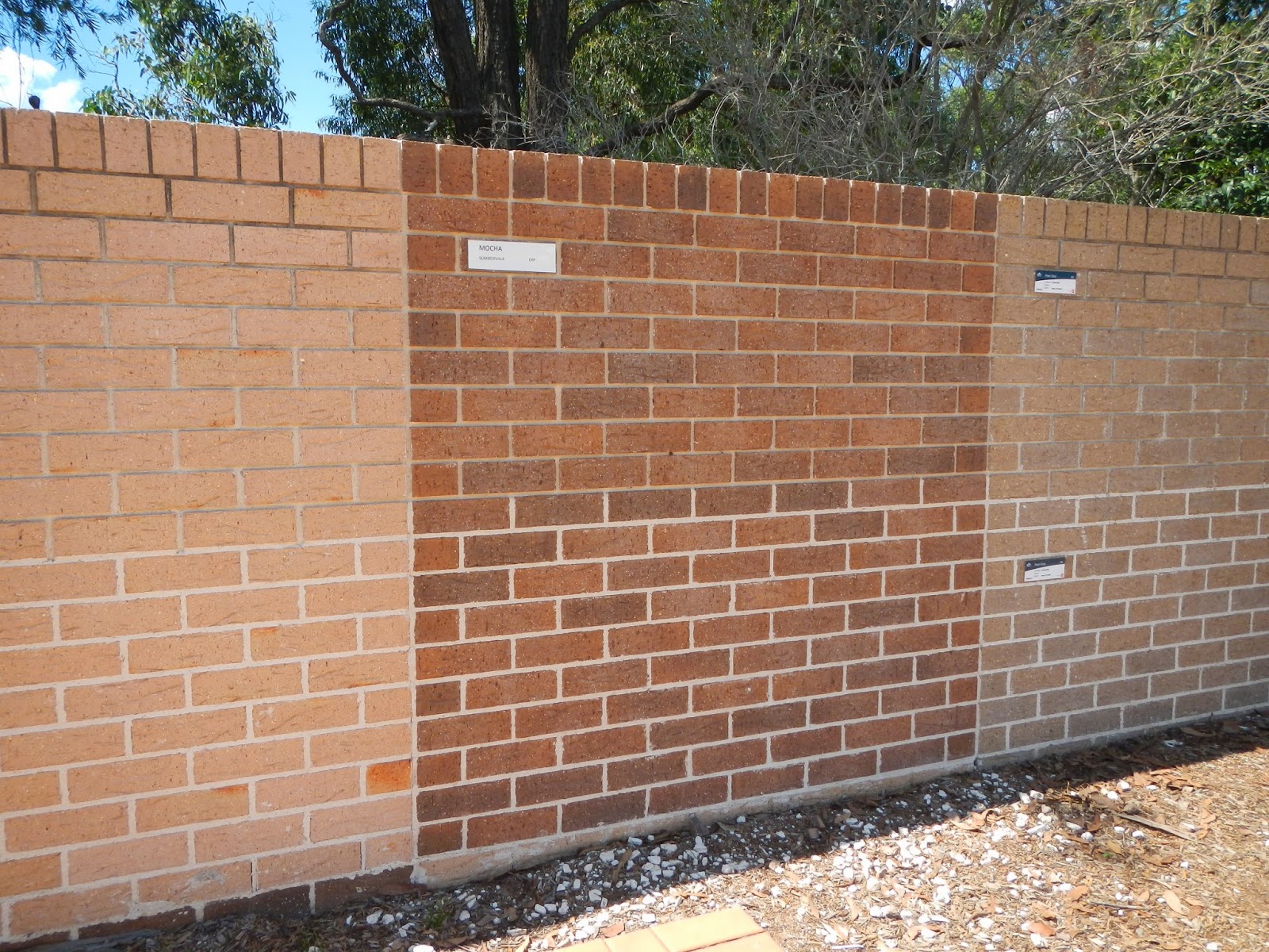 Building Journey: Eden Brae Livingstone 23 Blog: Research - PGH Mocha ...