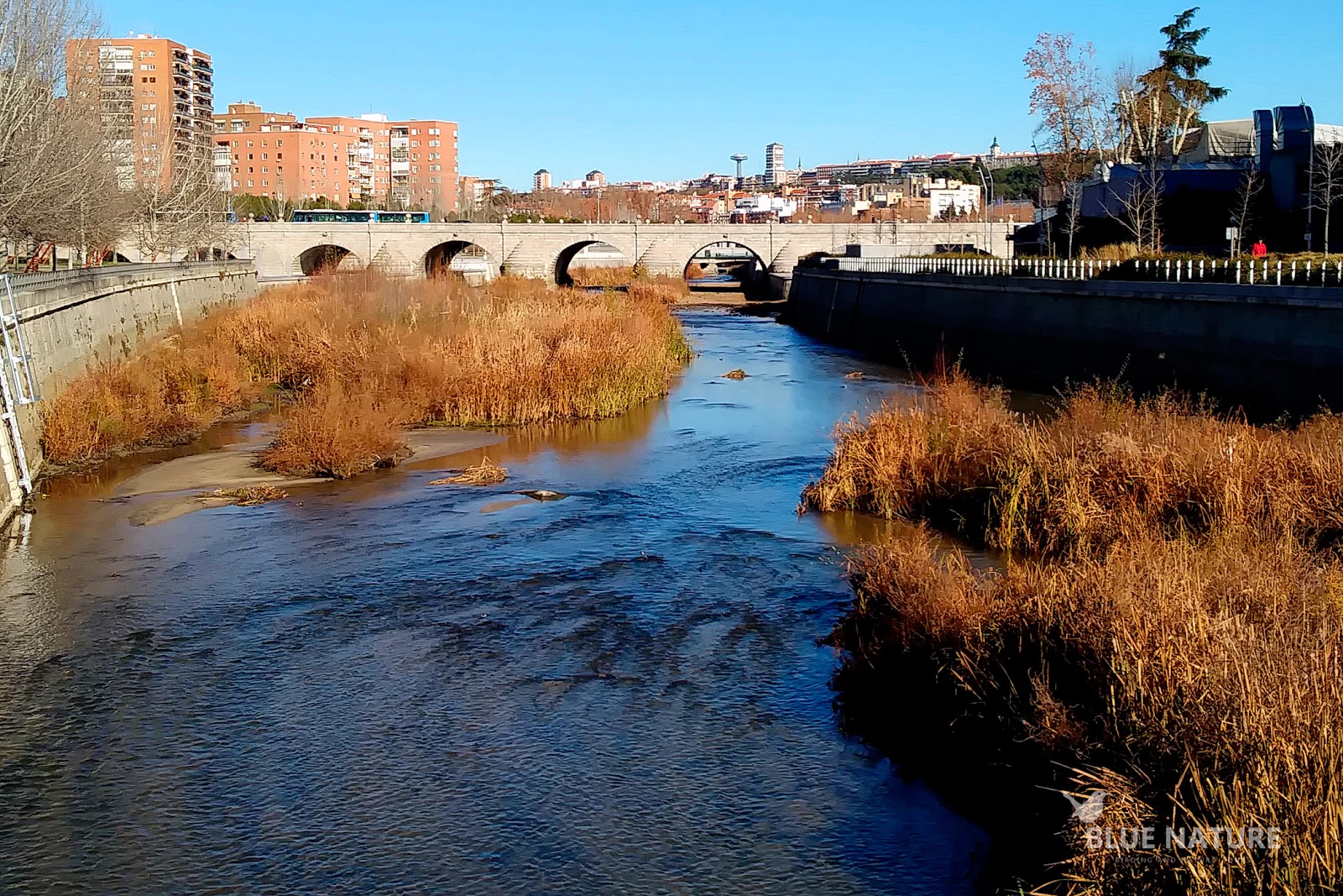 Blue Nature, el blog: La diversidad del Madrid Río I