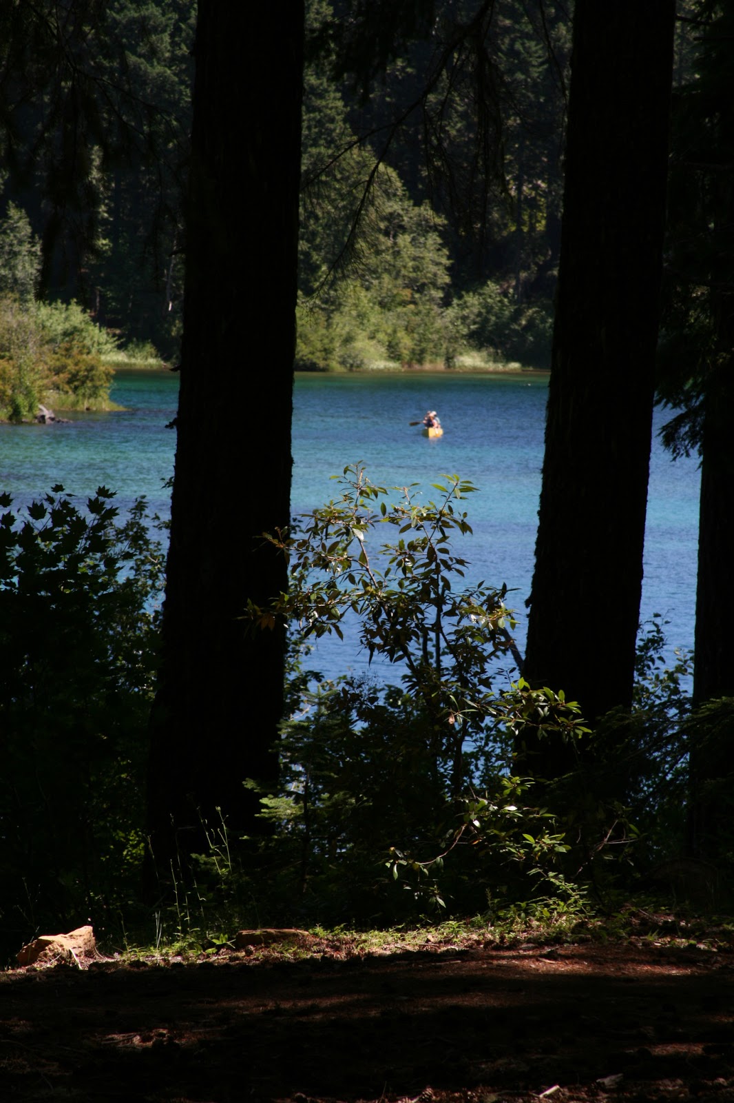 Ronald Borst Journalism: Fishing With Alexa