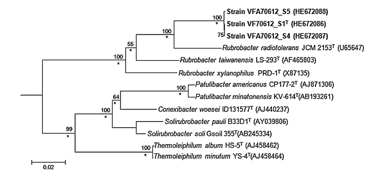 Micro Gaia: Microorganismos y conservación del patrimonio. El caso de ...