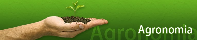 AGRO PESQUISAS: Um pouco mais sobre o curso de agronomia