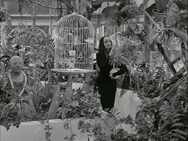 First Lady of Gothic Gardening: Morticia Addams