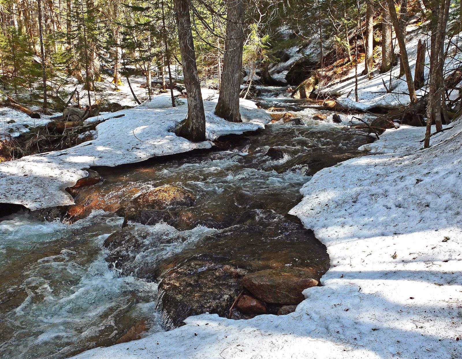 Hiking in Maine with Kelley: 4/7/14 Little Long Pond / Jordan Stream