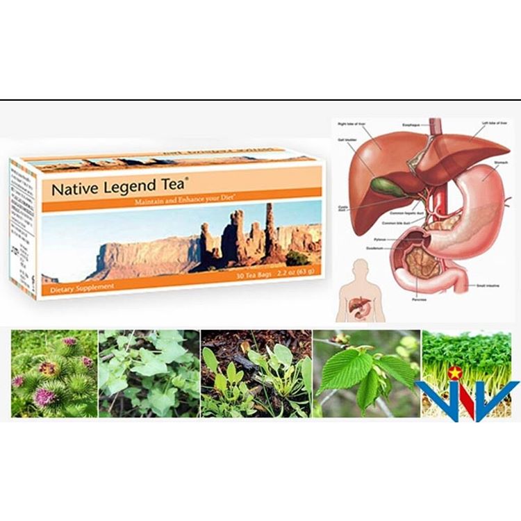 شاي الليجند Native Legend Tea