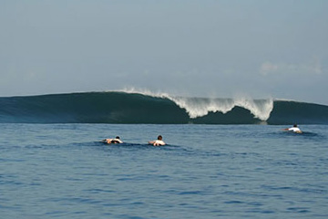 Rote Surf Information