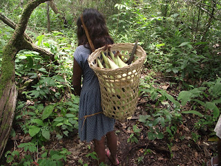 Suma Escatológica: Antropologia, política, meio ambiente e arte: Mulher ...