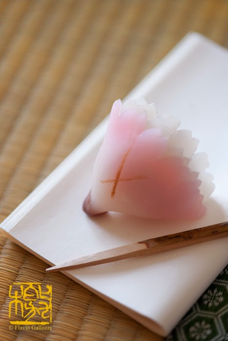 Spring wagashi