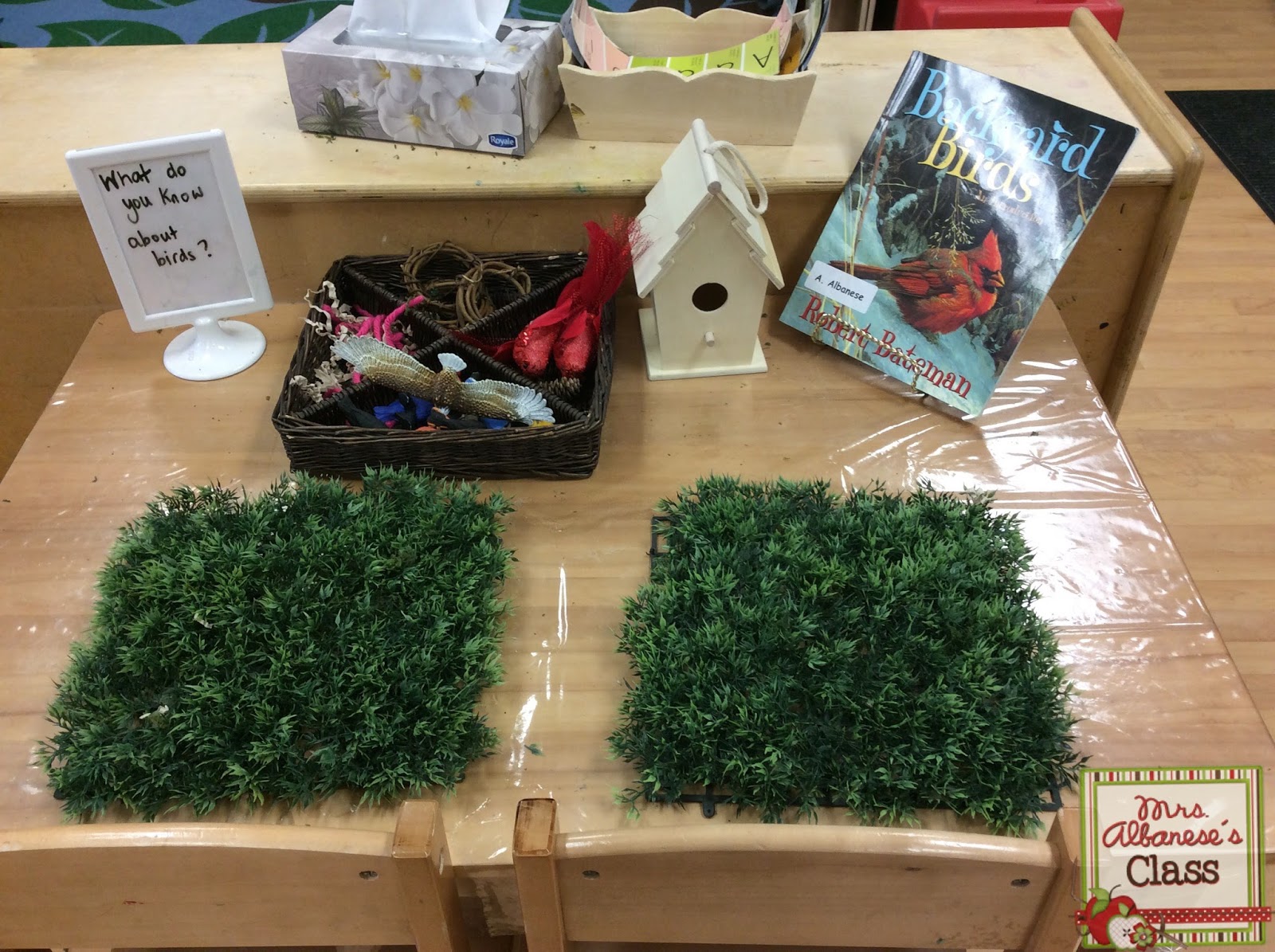 Weekly Wrap-Up ... spring, birds and more ramps! | Mrs. Albanese's ...
