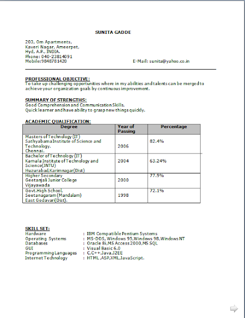 curriculum vitae international standard free download