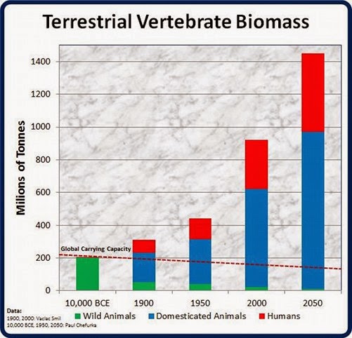SunWeb: The Competitive Exclusion Principle