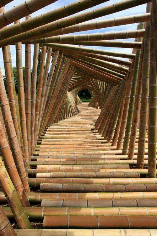 IDEsign - arsitektur: Bambu sebagai Alternatif dalam Pemilihan Bahan ...