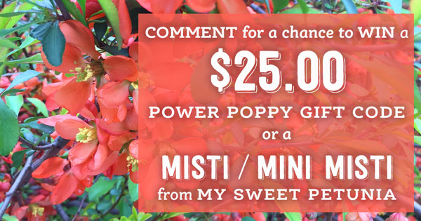 Power Poppy - The Blog: Hoppin' with the MISTI