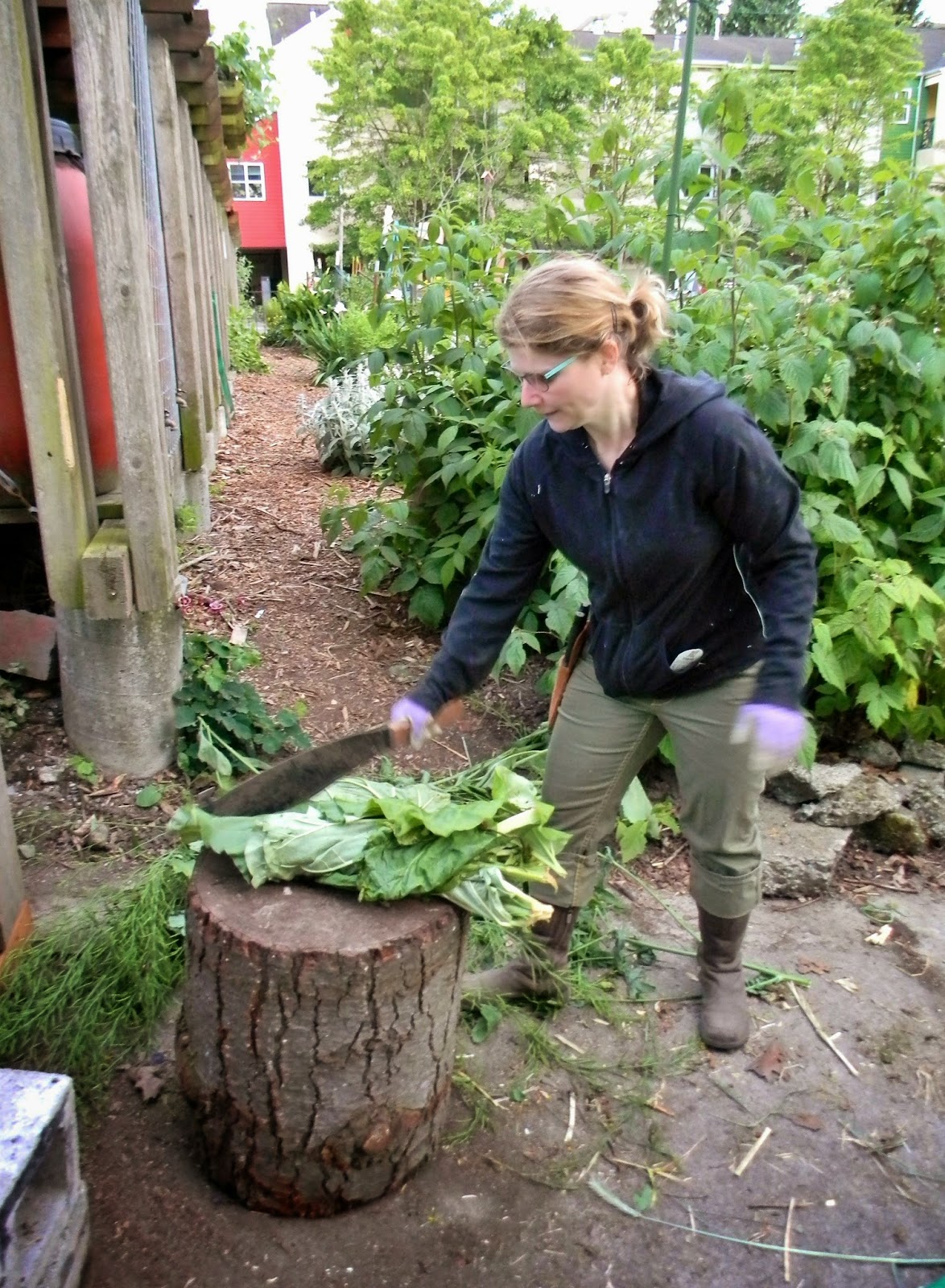 Cascade P-Patch Community Garden: P-Patch Work Party
