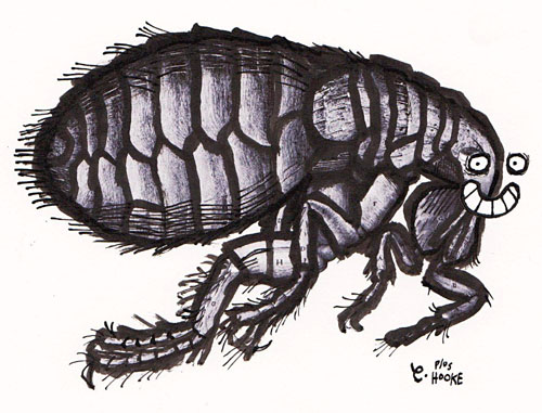 dotmund: This is your brain on FLEAS