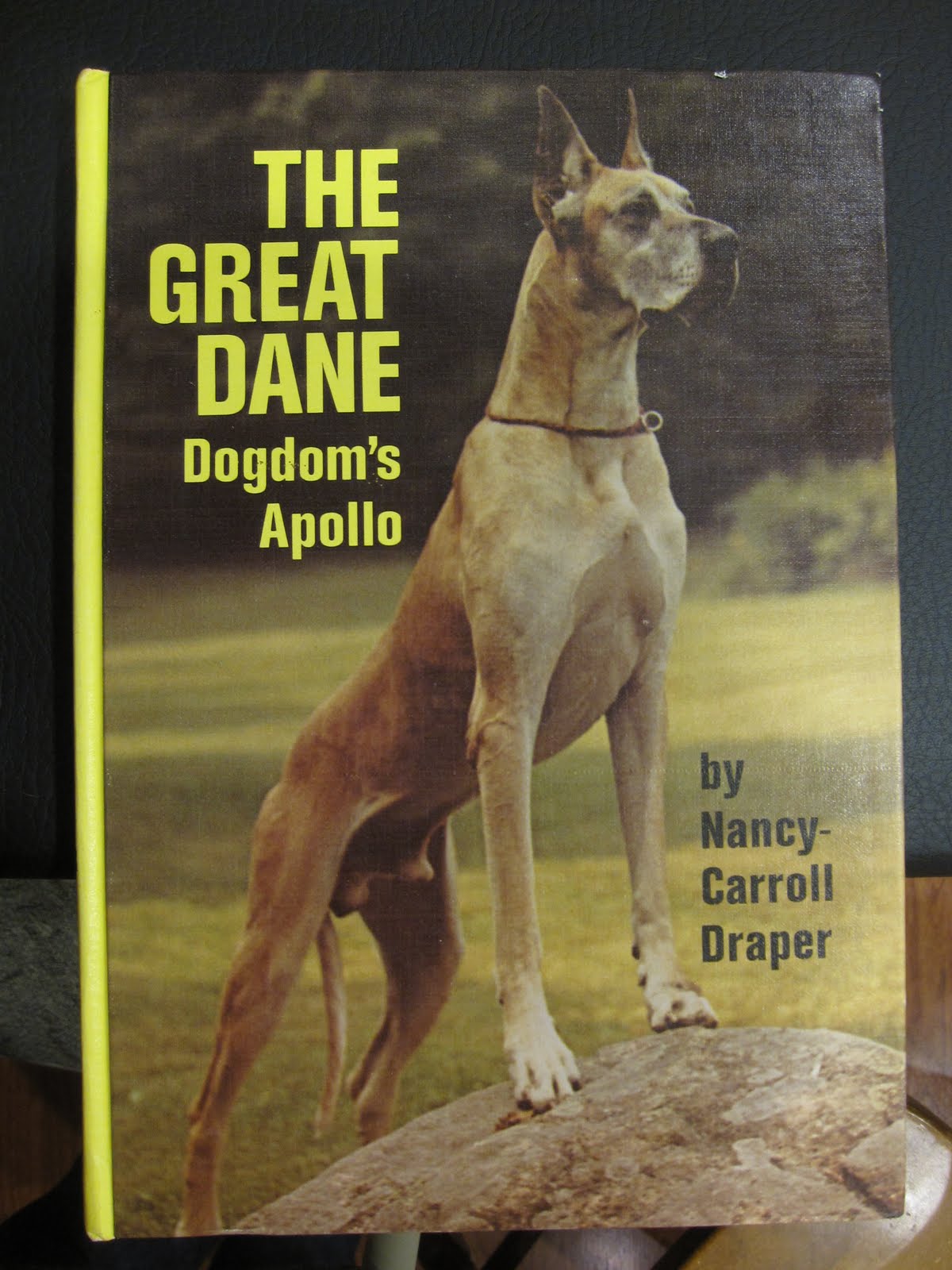 Life With Big Dogs!: Books of the Month