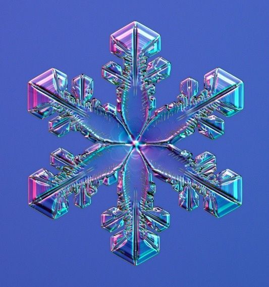 Heraldry of Life: ART with REAL SNOWFLAKES