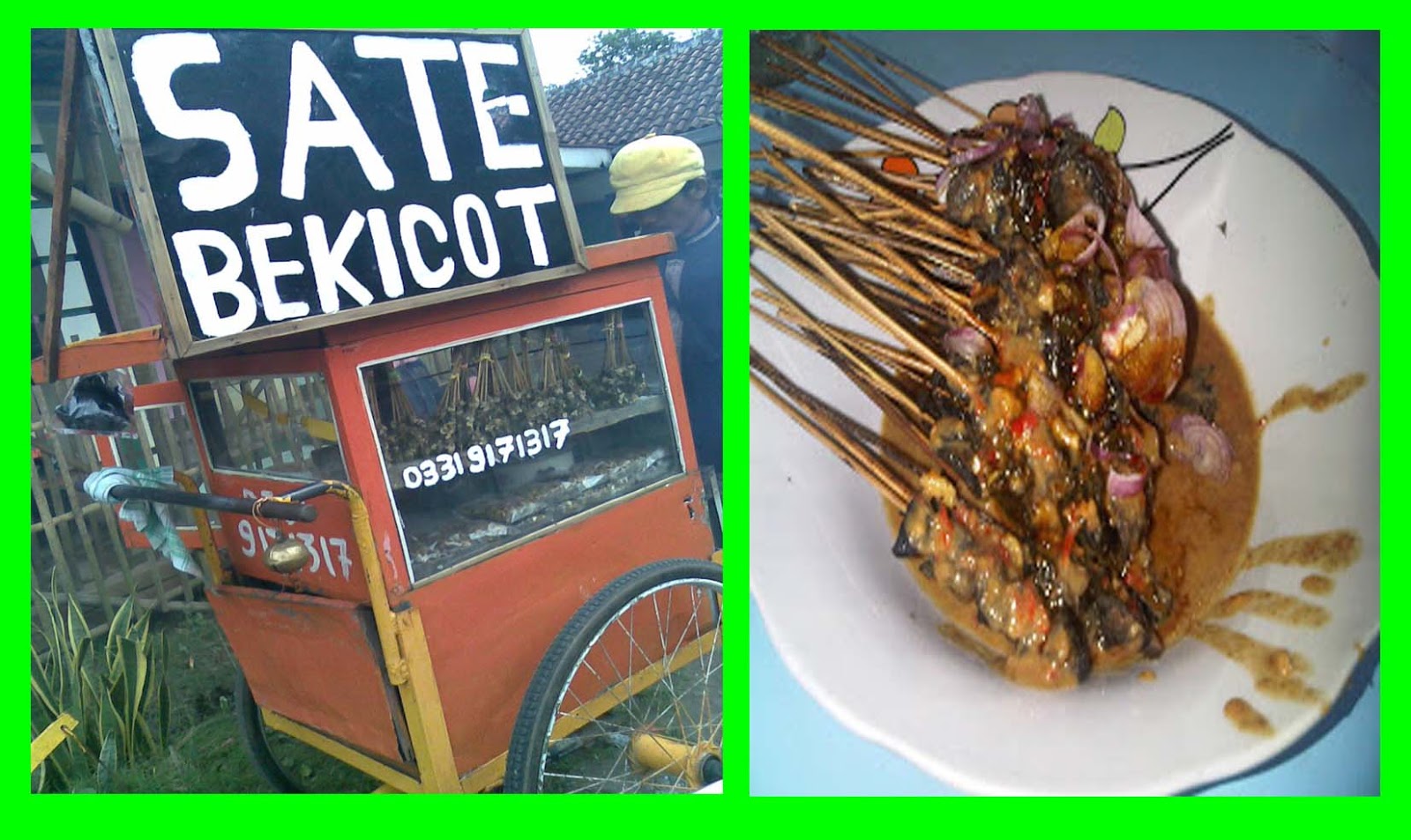 BAYU WISONO: Resep Sate Bekicot