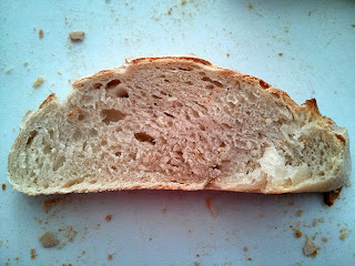 My Sourdough Starters: UPDATE: Wasatch Willy's Great Salt Lake ...