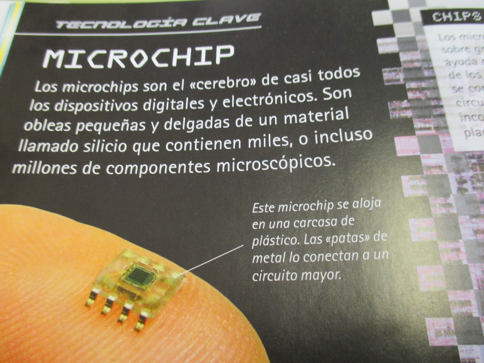APRENDIENDO EN LA ESCUELA PÚBLICA 3º Y 4º: Los microchips