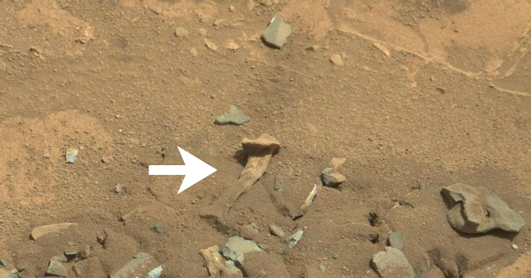 Thigh Bone Found On Mars?