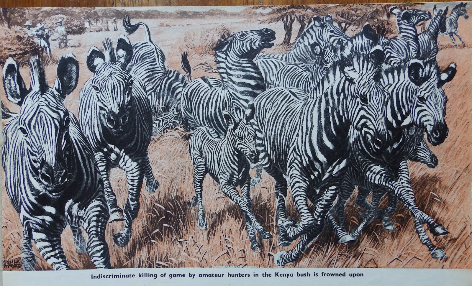 Raymond Sheppard and Look and Learn