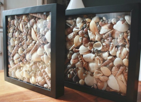 DIY Framed Shell Wall Art - Coastal Decor Ideas and Interior Design ...